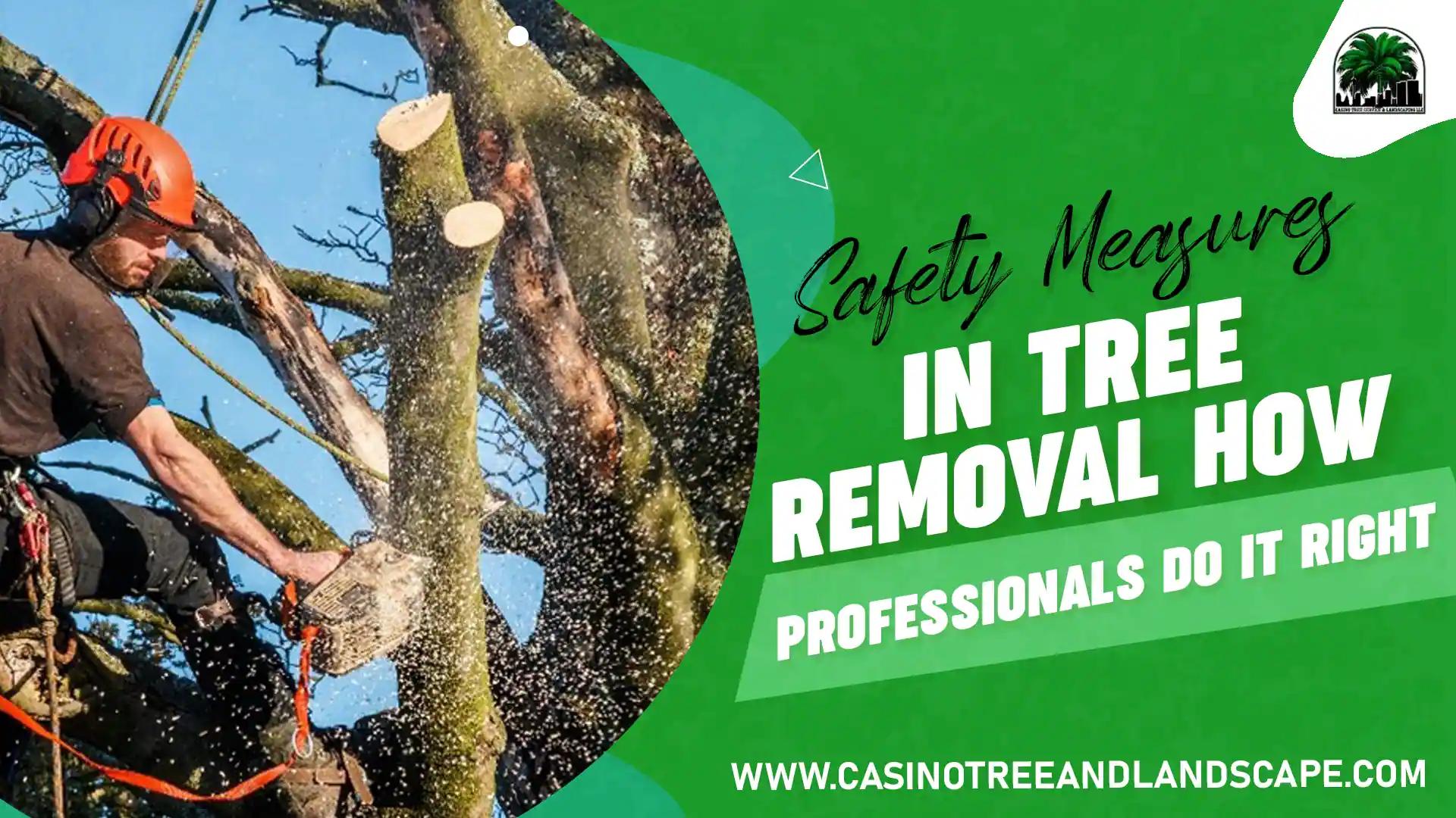 Safety Measures in Tree Removal: How Professionals Do It Right
